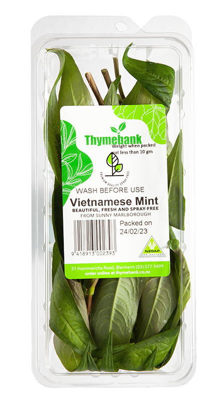 Vietnamese Mint – Thymebank